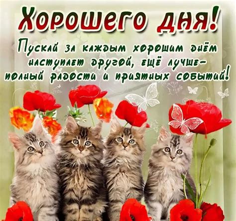 Добрый день с пожеланиями 98 фото