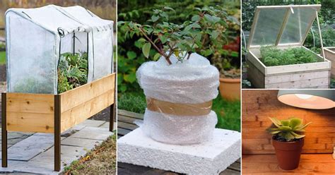 12 Brilliant Cold Weather Hacks For Plants To Create Warmth