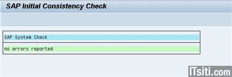 SICK SAP Initial Inconsistency Check