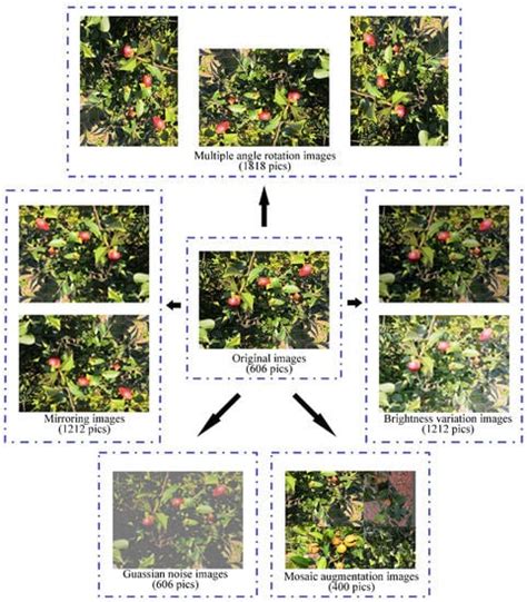 Detection Of Camellia Oleifera Fruit In Complex Scenes By Using Yolov7 And Data Augmentation