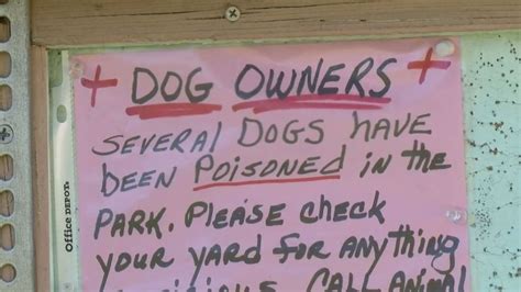 Las Vegas Police Asking Public Assistance In Dog Poisoning Incidents