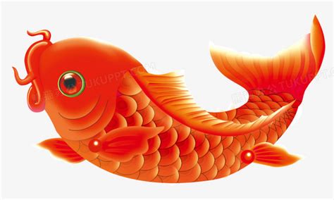 红色吉祥锦鲤PNG图片素材下载 红色PNG 熊猫办公