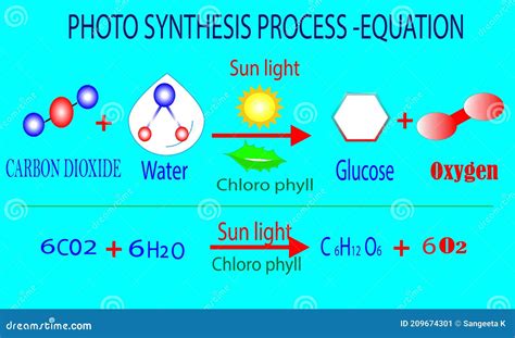 Photosynthesis Process Diagram Design Equation Co2 02 Chlorophyll