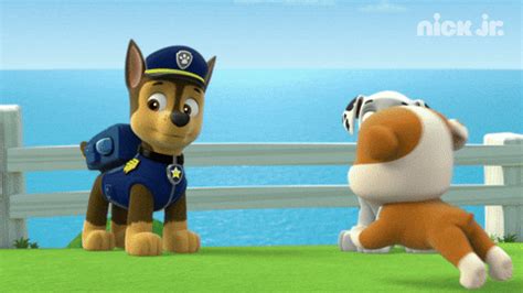 Paw Patrol Chase Gifs Get The Best Gif On Giphy