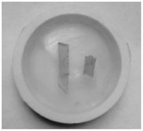 Method For Preparing Rare Earth Doped Calcium Tungstate Crystals For