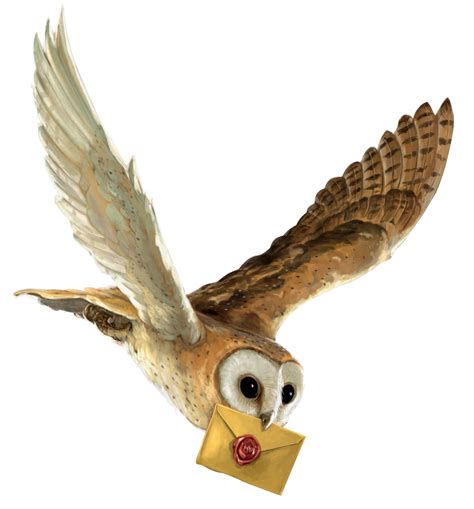 Harry Potter And The Philosopher S Stone Owl Hedwig Hogwarts Harry