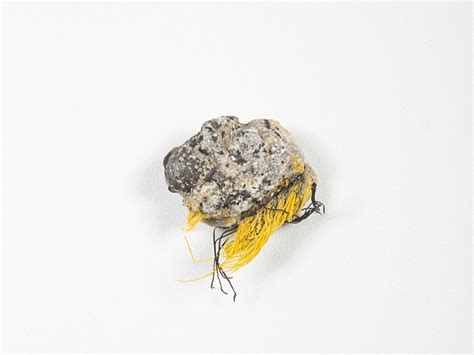 Parliament Of Things — The Fossils Of The Anthropocene