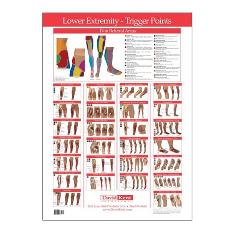 Trigger Point Massage Therapy Tools