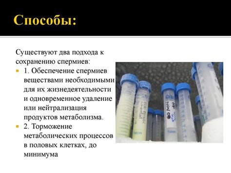 Технологии хранения спермы презентация онлайн