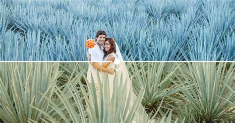 Best WP Image Comparison Plugins Code Canel