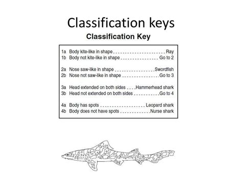 7th Grade Science Core Test Yearly Review Ppt Download