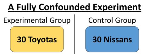 What Is A Control Group In Science