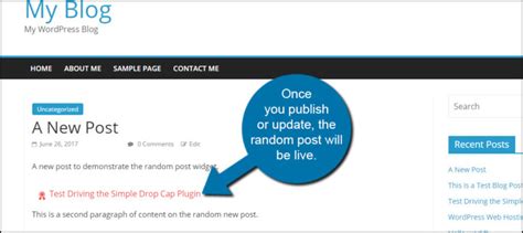 how to easily show random posts in wordpress for visitors