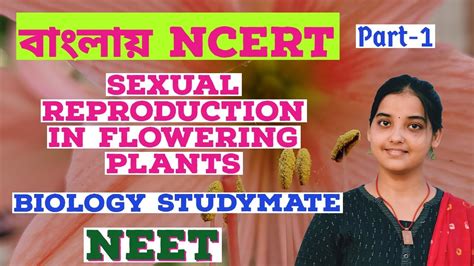Ncertclass12chapter 2sexual Reproduction In Flowering Plants Youtube