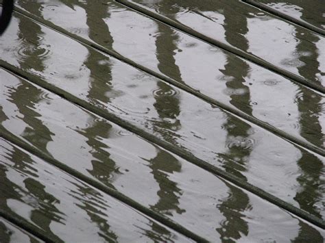 Which Wood Is Best For Rain At Eric Phillips Blog