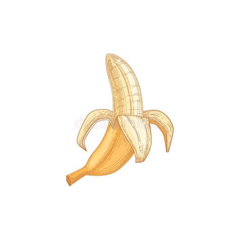 Fruta Entera Tropical Madura Plátano Con Piel Pelada Aislada Sobre