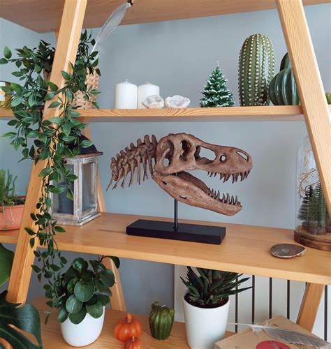 T Rex Fosil Heykeli Omurgalı Nowshopfun