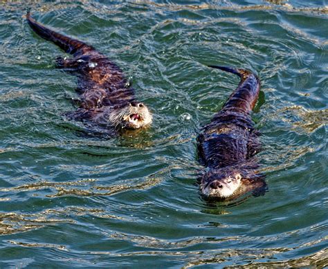 186 Best Taylor Ham Images On Pholder Newjersey Gotham And Food Porn