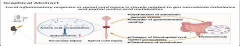 Alterations In Gut Microbiota Are Related To Metabolite Prof