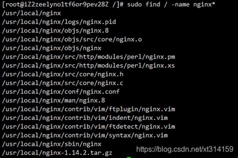 Nginx完全卸载删除linux下凝思系统删除nginx Csdn博客