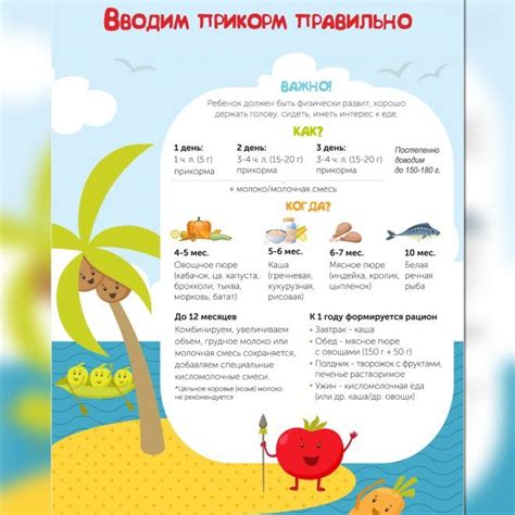 Как правильно вводить прикорм и почему это нужно делать вовремя Меню