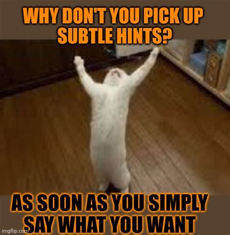 This Lolcat Wonders Why Hoo Mens Are So Bad At Communicating Imgflip