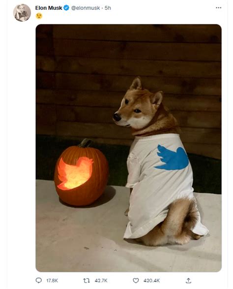 K O Kryptowaluty on Twitter Wystarczył jeden tweet Dogecoin 0 15