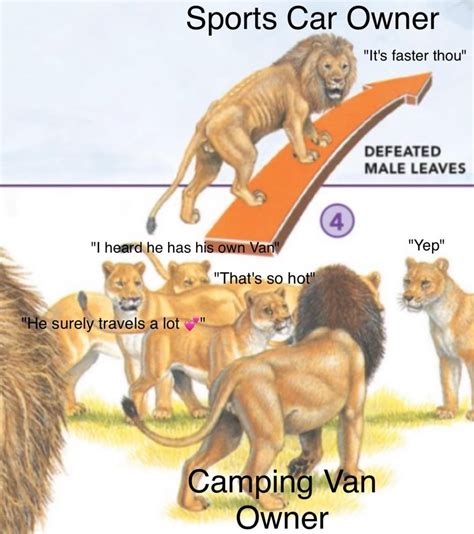 Its Faster Thou Rvandwellers