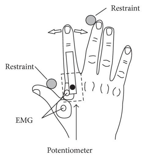 Experimental Apparatus For The Visuomotor Tracking Task A Subjects Download Scientific