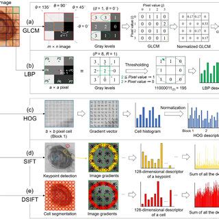Image Representations Of The Feature Extraction Algorithms For The