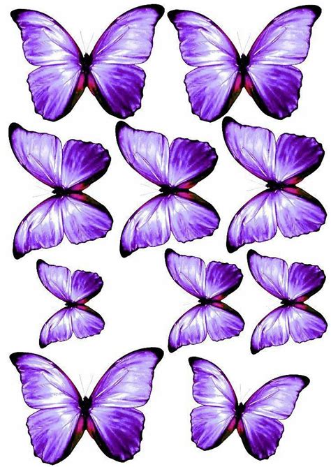 Pin Di Noke Su Kupu Kupu Idee Per Il Compleanno Immagini Idee Fai Da Te