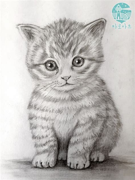 강서구 마곡 미술학원 연필 드로잉 기초 고양이 네이버 블로그