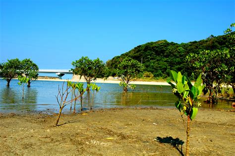 種子島観光で行くべき10の場所！毎年種子島にいく管理人オススメの観光＆体験スポット 種子島そだち