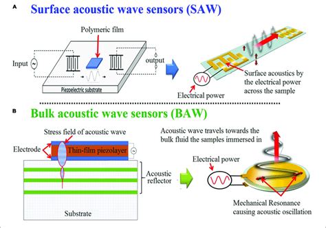 Graphic Depicting In General Terms The Processes For The Generation Download Scientific