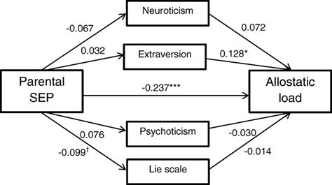 Direct And Indirect Paths In Model 1 Mediators Adjusted For Sex And