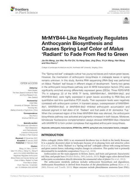Pdf Mrmyb44 Like Negatively Regulates Anthocyanin Biosynthesis And Causes Spring Leaf Color Of