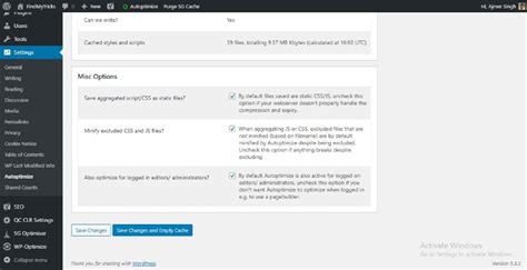 Best Autoptimize Settings For Wordpress Plugin In 2022 Developer Diary