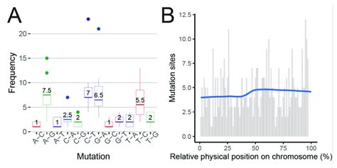 Distribution On Chromosomes Of De Novo Mutation Sites From Sample1 To Download Scientific