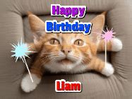 Happy Birthday Liam GIFs