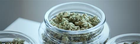 Le Cbd Thérapie Naturelle Pour Lutter Contre La Démence