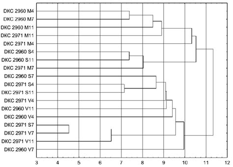 Clustering Of Early Maturing Maize Hybrids According To A Set Of