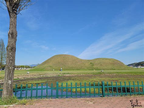 맛 술 싸 경주 첨성대 초콜릿 Daum 카페