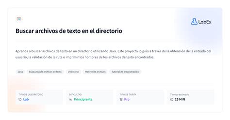 Búsqueda De Archivos De Texto En Java Tutorial De Programación Labex
