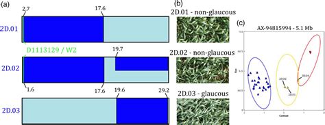 A Wheat Chromosome Segment Substitution Line Series Supports Characterization And Use Of