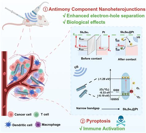 祝贺聂继虎的论文发表在angewandte Chemie International Edition上！ 课题组新闻 苏州大学功能纳米