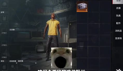 【帅宇 ·】和平精英地铁逃生仓库终极对决两顶级装备宝箱 超过8千粉丝861 作品在等你 游戏视频 免费在线观看 爱奇艺