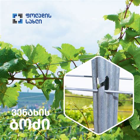 ფოლადის სახლი Home