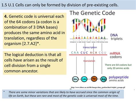 1 5 origin of cells two billion year old prokaryotic fossils of cells