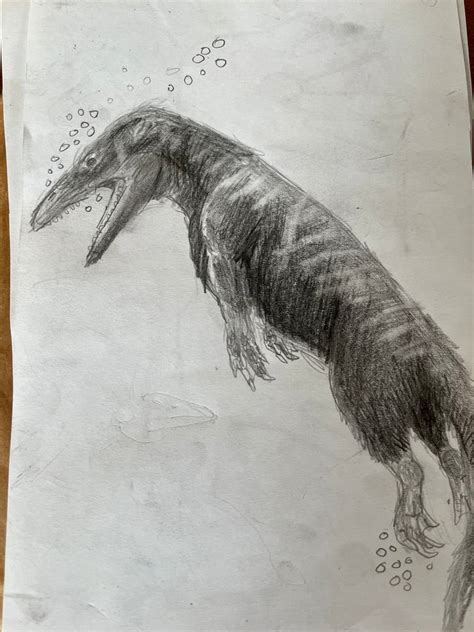Prehistoric Mammals A Is For Ambulocetus By Chichesterraptor99 On