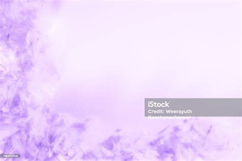 어둠 배경과 다채로운 부드러운 흰색 핑크 깃털 초상화 프레임 질감에 아름다운 추상 적 파란색과 보라색 깃털 프레임 천사에 대한